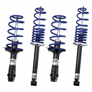 AP COILOVERS | מתלים - SUSPENSION | PIT-STOP